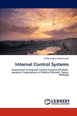 Nwf.com: Internal Control Systems: Tesfay Negash G: كتب