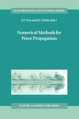 Nwf.com: Numerical Methods for Wave Propagation :: كتب